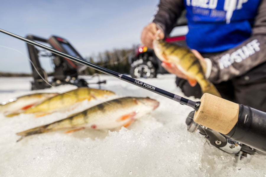 Custom Fusion – Tuned Up Custom Rods